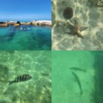 St Pete Beach: Private Boat tour for watersports snorkeling - What You Can Expect From the Experience