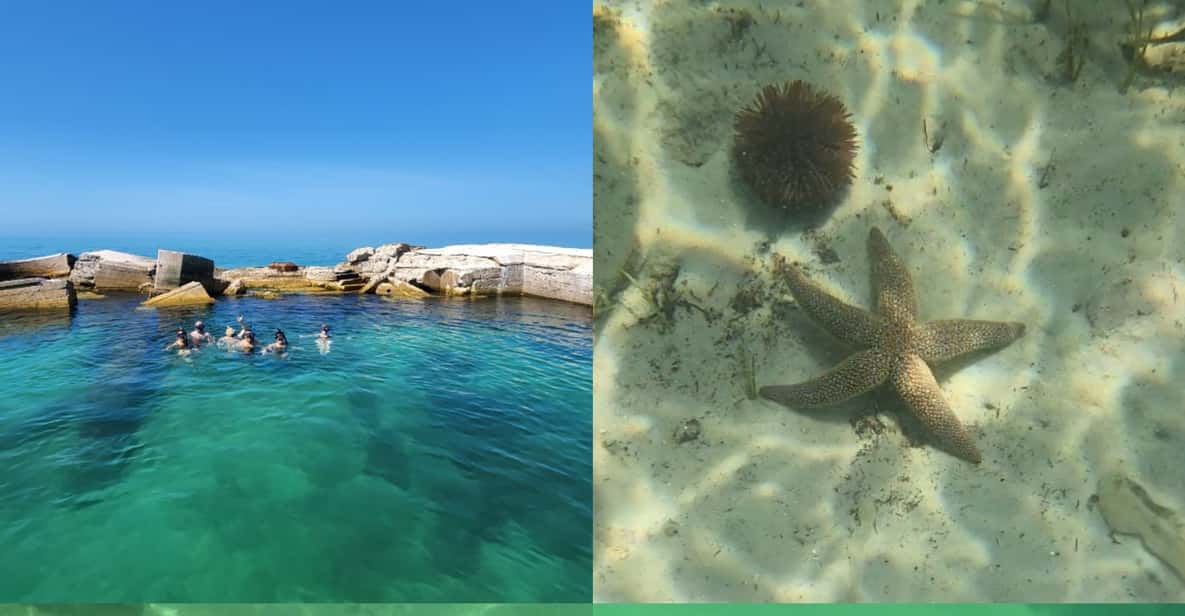 St Pete Beach: Private Boat tour for watersports snorkeling - Cost and What You’re Paying For