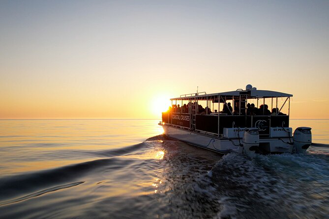 St. Pete Dolphin Watching and Island Sunset Cruise - Why This Cruise Offers Great Value