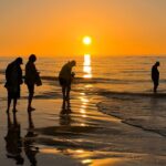 St. Pete Dolphin Watching and Island Sunset Cruise - The Experience in Detail