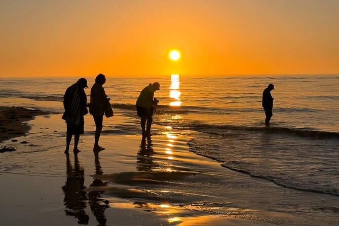St. Pete Dolphin Watching and Island Sunset Cruise - The Experience in Detail