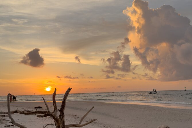 St. Pete Dolphin Watching and Island Sunset Cruise - Practical Tips for Travelers