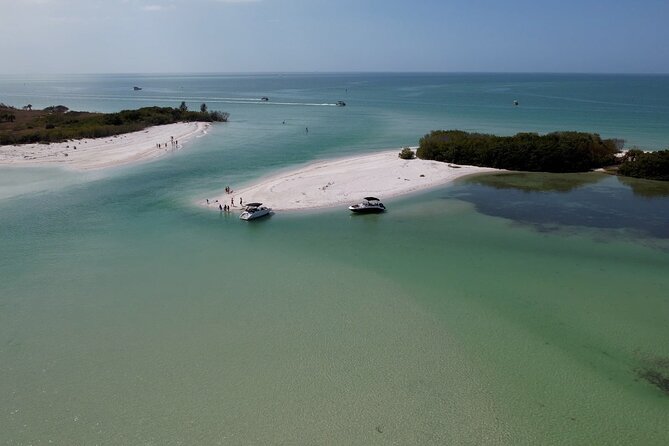 St. Pete Dolphin Watching and Shelling Adventure - Who Will Love This Tour?