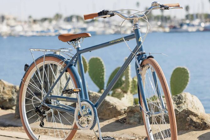 St Pete E-Bike Rentals - Authentic Traveler Insights
