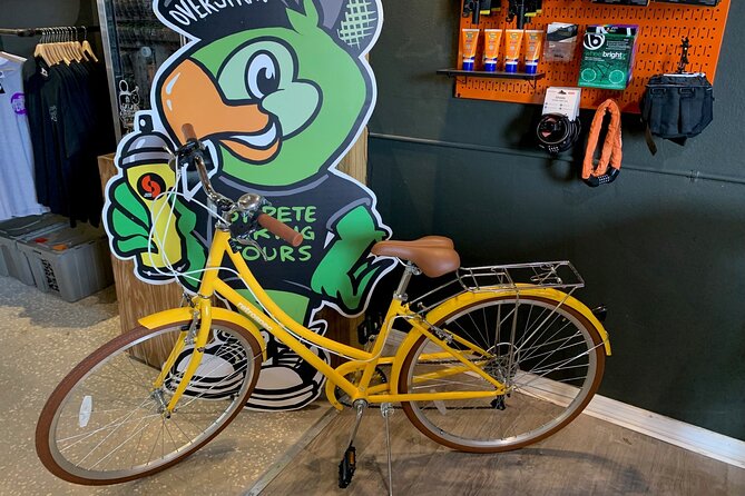 St Pete E-Bike Rentals - Who Would Love This Experience?