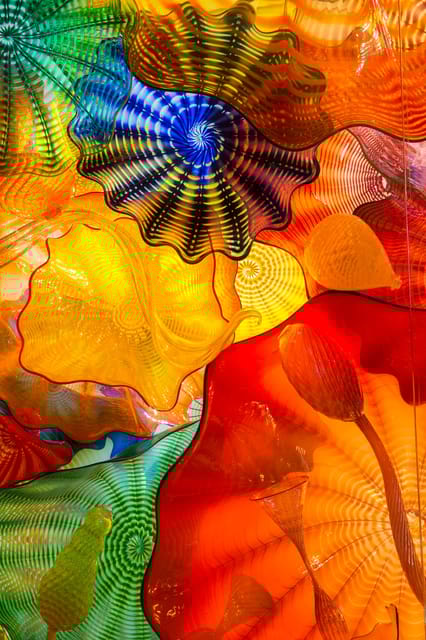 St. Petersburg: Chihuly Collection Admission Ticket - The Value of the Experience