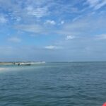 St. Petersburg, FL: 3 Hour Eco Tour with Island Hopping - An In-Depth Look at the Eco Tour Experience