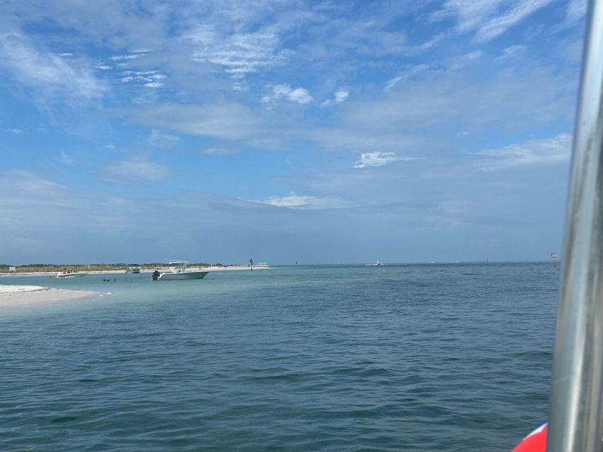 St. Petersburg, FL: 3 Hour Eco Tour with Island Hopping - An In-Depth Look at the Eco Tour Experience
