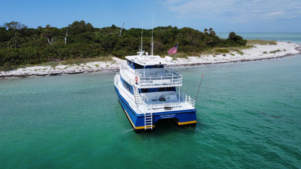 St. Petersburg, FL: 4-Hour Catamaran Cruise to Egmont Key - Snorkeling and Wildlife Encounters