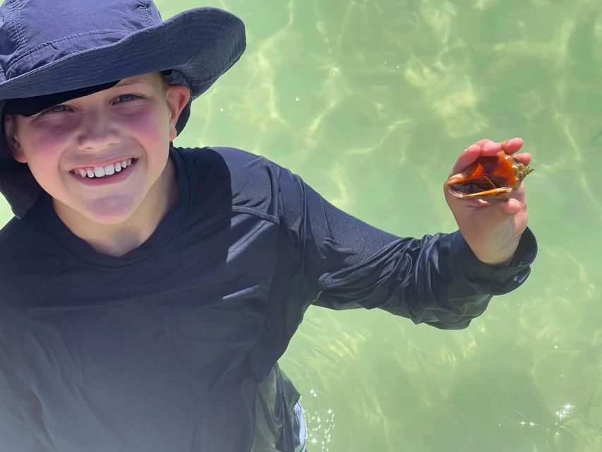 St. Petersburg, FL: 4-Hour Private Beach Tour - Key Points