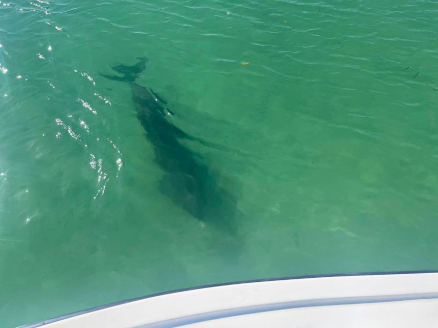 St. Petersburg, FL: 4-Hour Private Beach Tour - What to Expect from the 4-Hour Private Beach Tour