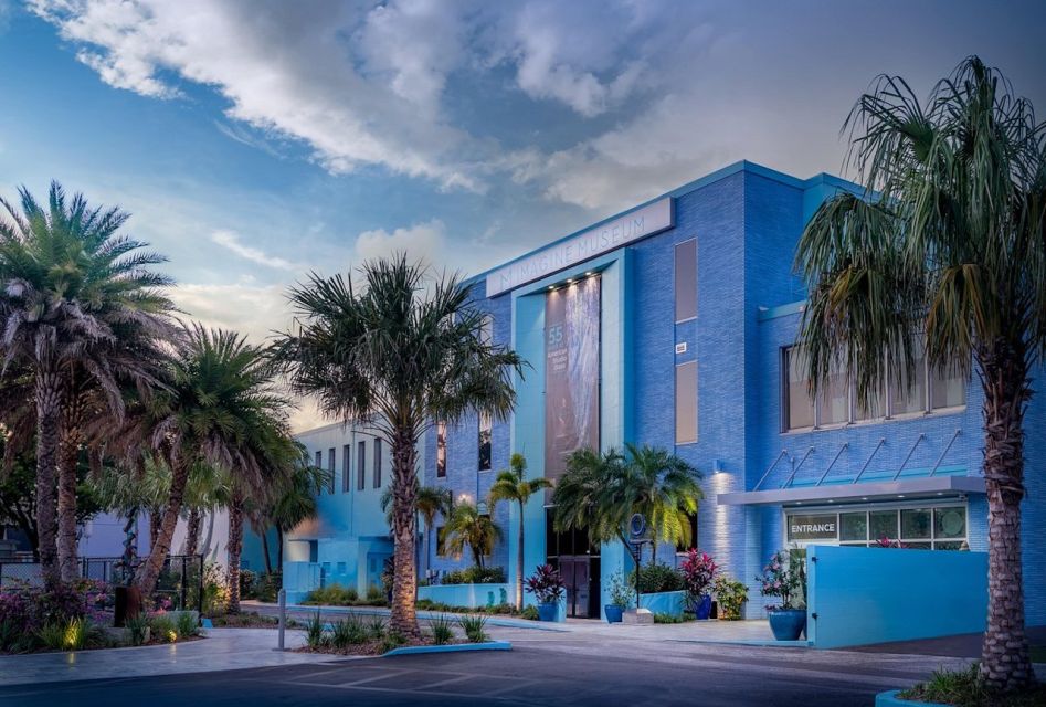 St. Petersburg, FL: Imagine Museum Admission Ticket - A Deep Dive into the Experience