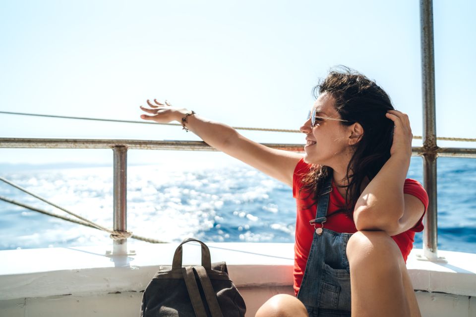 St. Petersburg, FL: Private 2-Hour Dolphin Watching Cruise - An In-Depth Look at the Dolphin Watching Tour
