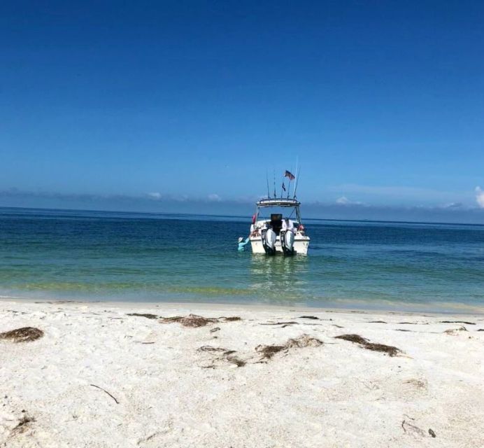 St. Petersburg, FL: Private 5-Hour Egmont Key Boat Tour - Shelling and Wildlife Encounters