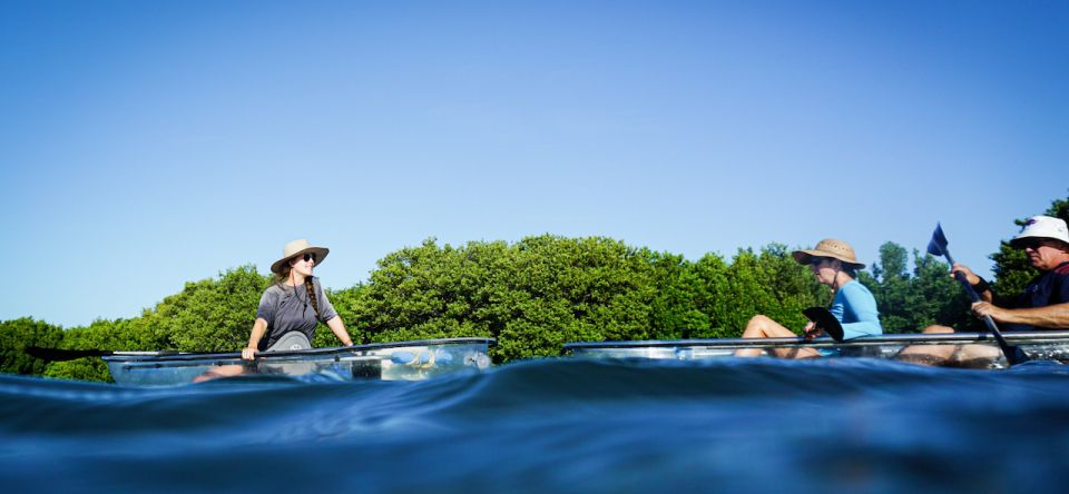 St. Petersburg, FL: Weedon Island Kayak Tour - An In-Depth Look at the Weedon Island Kayak Tour