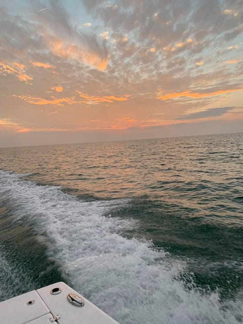 St Petersburg: In-Shore Fishing Charter - What to Expect from This In-Shore Fishing Tour