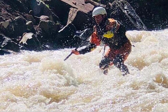 Stand Up Paddle Board Colorado River Adventure: Guided Half Day - Authentic Insights from Reviewers