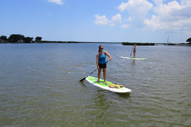 Stand Up Paddle Board Rental in Rose Bay - An In-Depth Look at the Rose Bay Paddleboard Experience