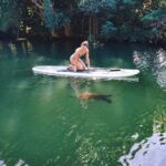 Stand Up Paddle Nature and Turtle tour-Guaranteed to see turtles - What We Love About This Tour