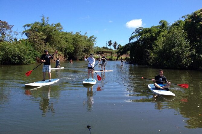 Stand Up Paddle Nature and Turtle tour-Guaranteed to see turtles - Considerations and Tips