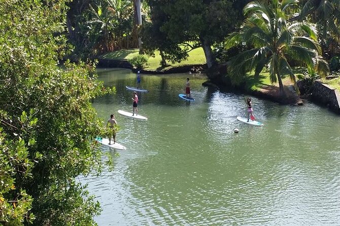 Stand Up Paddle Nature and Turtle tour-Guaranteed to see turtles - Who Should Consider This Tour?