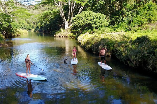 Stand Up Paddle Rental- Wailua River to Secret Falls - An In-Depth Look at the Experience