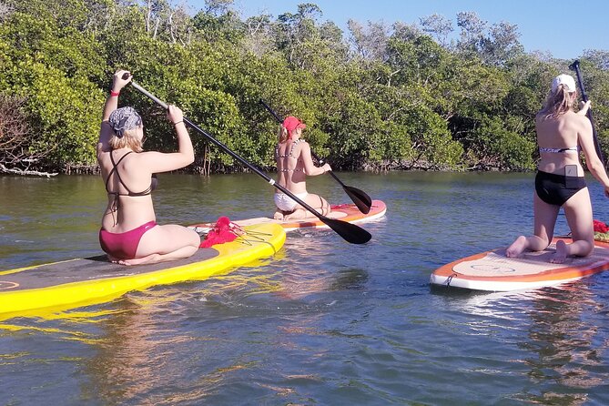 Stand Up Paddleboard Rental on Big Hickory Pass - Key Points