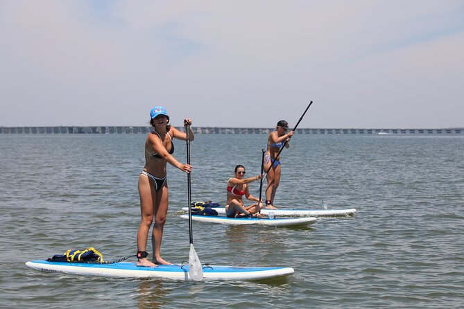 Stand Up Paddleboard Rentals in Ocean City, MD - What to Expect During Your Paddleboard Adventure