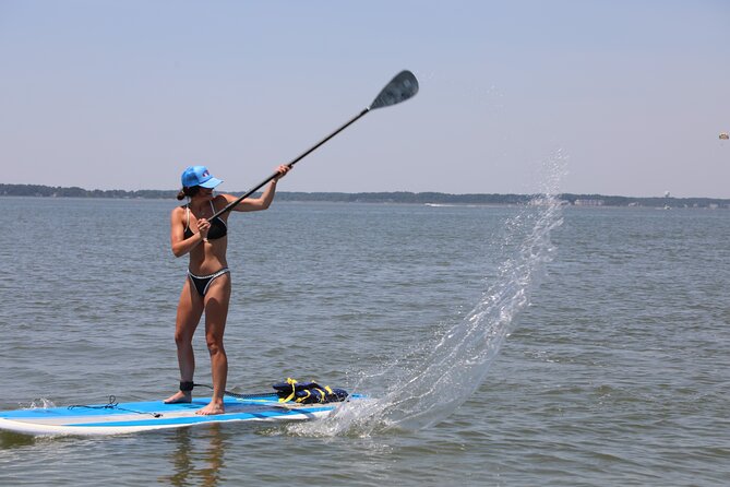Stand Up Paddleboard Rentals in Ocean City, MD - Scenic Highlights and Waterway Features