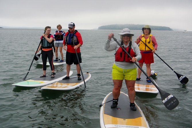 Stand Up Paddleboard Tour with Complimentary Oyster Tasting - An Introduction to the Casco Bay SUP Experience