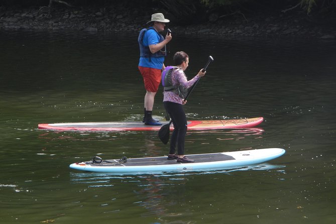 Stand Up Paddleboard Tour with Complimentary Oyster Tasting - Detailed Breakdown of the Itinerary
