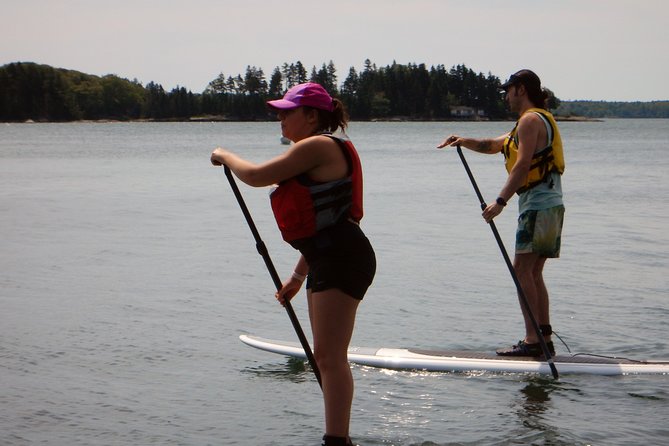 Stand Up Paddleboard Tour with Complimentary Oyster Tasting - Authentic Insights from Past Travelers