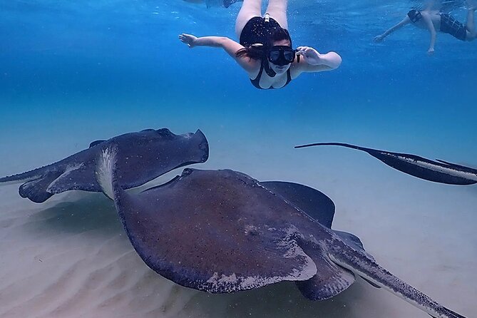 Starfish and Stingray City Fun Tour with Reef Snorkeling- 3 stops - Key Points