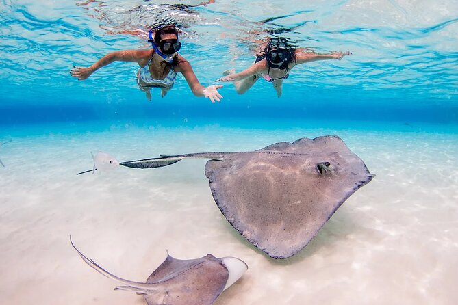Starfish and Stingray City Fun Tour with Reef Snorkeling- 3 stops - The Sum Up