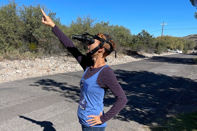 Stargazing and UFO Tour - Key Points