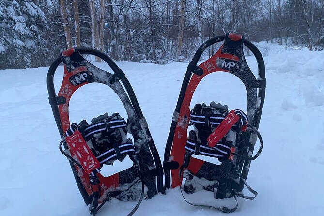 Starlight Snowshoe Adventure in Alaska - What Youll Experience