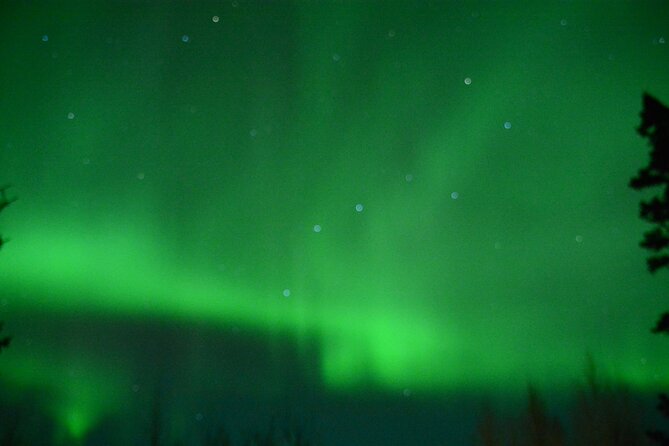 Starlight Snowshoe Adventure in Alaska - Who Would Love This Tour?