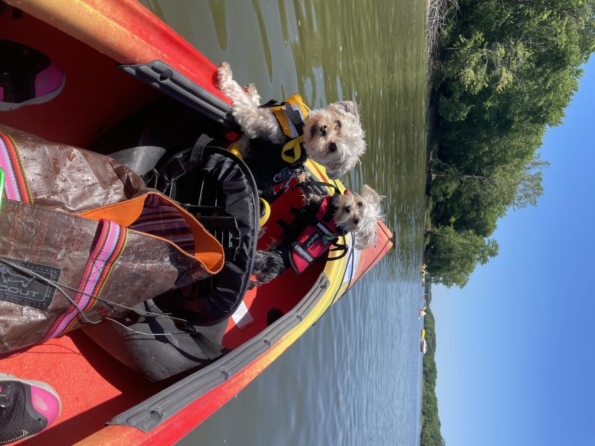 Starved Rock State Park: Guided Kayaking Tour - Exploring the Kayaking Experience at Starved Rock