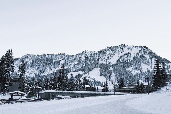 Stevens Pass Ski Resort Tour from Seattle - The Experience in Detail