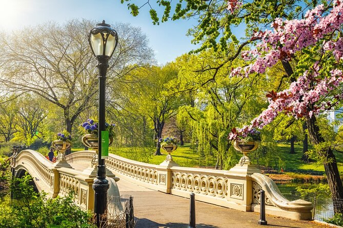 Stolen Archives: Self-Guided Mystery Adventure in Central Park - The Sum Up
