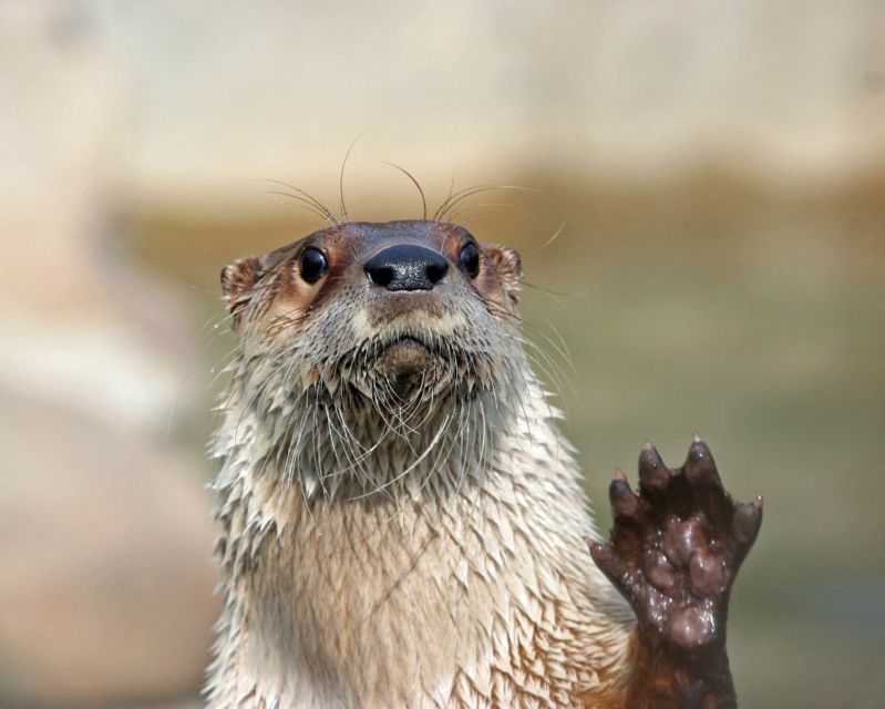 Stoneham, Massachusetts: Stone Zoo Entry Ticket - Final Thoughts