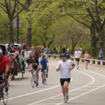 Story Behind Central Park: Manhattans Backyard, Wilderness by Design - Key Points