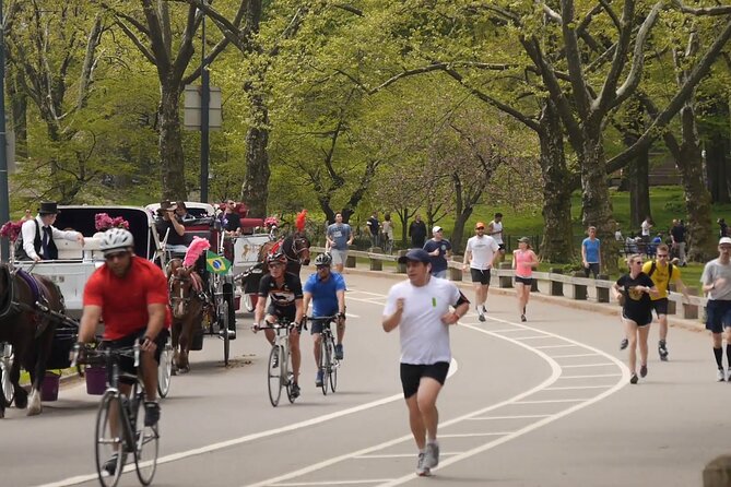 Story Behind Central Park: Manhattans Backyard, Wilderness by Design - Key Points