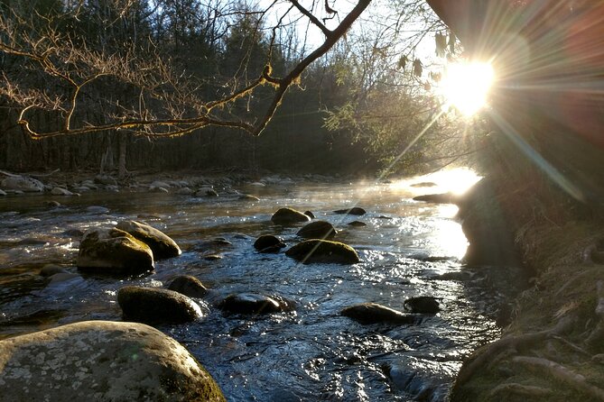 Stroll Back in Time Smokies History Streams and Forest Hike - Discovering the Itinerary in Detail