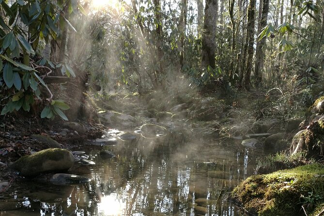Stroll Back in Time Smokies History Streams and Forest Hike - Practical Tips for Your Visit