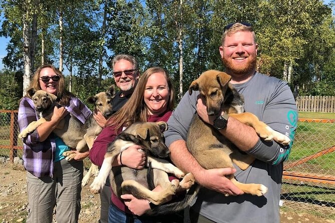 Summer Dog Sledding Adventure in Willow, Alaska - Additional Details and Practical Tips
