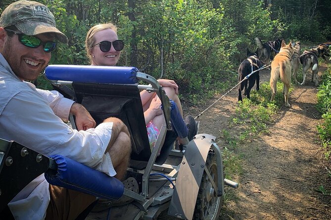 Summer Dog Sledding Adventure in Willow, Alaska - Final Thoughts: Is This Tour Right for You?