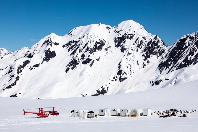 Summer Glacier Dogsledding Tour from Girdwood - Final Thoughts