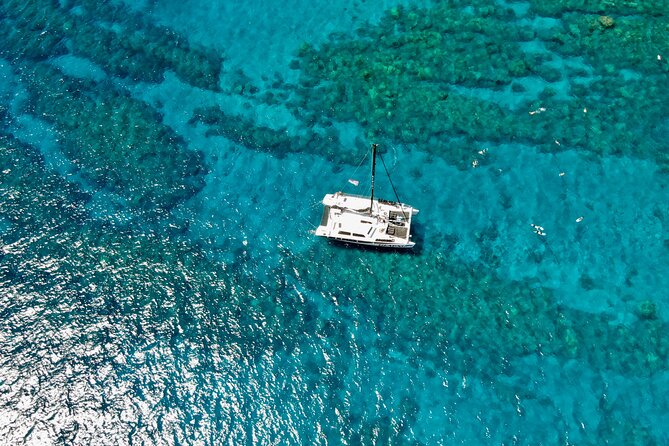 Summer Morning Express Snorkel Adventure off Ka'anapali Beach - A Close Look at the Snorkel Adventure