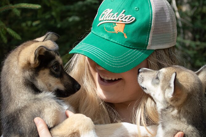 Summer Mushing Cart Ride & Kennel Tour - An In-Depth Look at the Fairbanks Summer Mushing Tour